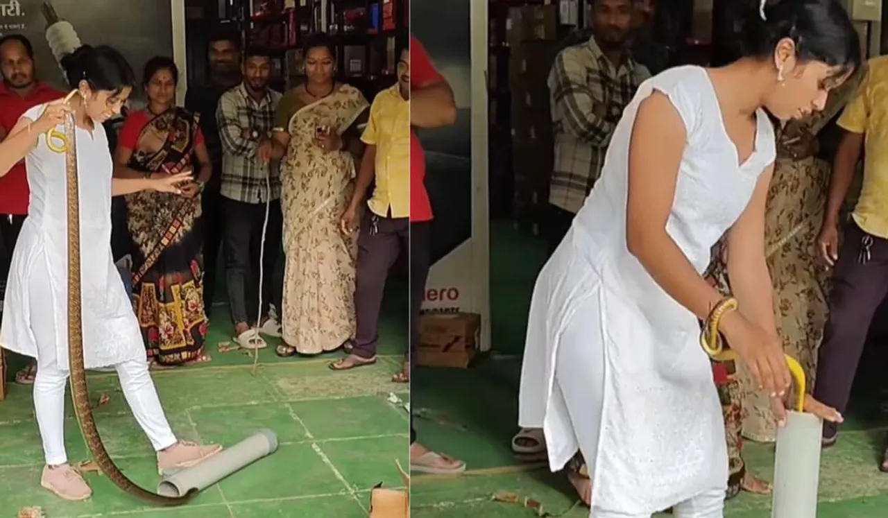 Watch: Young Woman's Gutsy Act; Catches Snake With Bare Hands