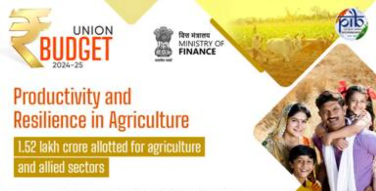 Union Budget Unveils New Credit Guarantee Scheme for MSMEs