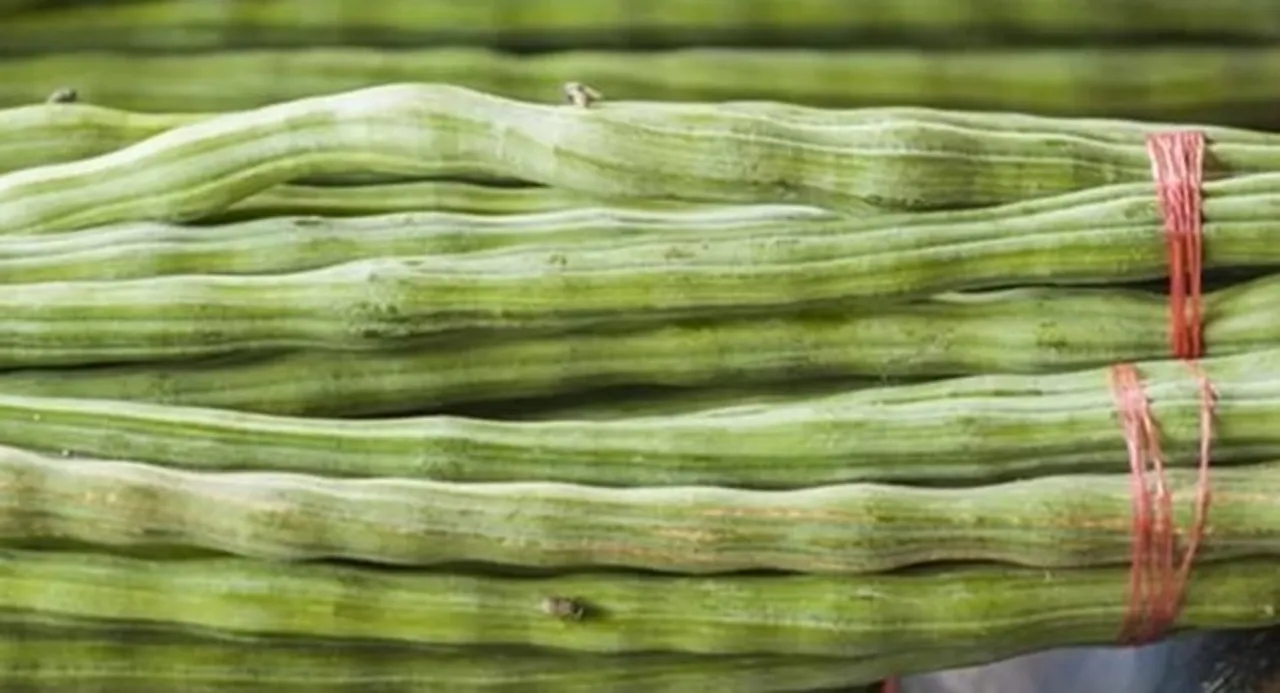 இரும்புச் சத்து... இம்யூனிட்டி... முருங்கைக்காய்: இப்படிச் செய்து ...