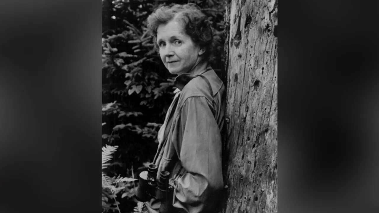 Silent Spring How Rachel Carsons Book Led To A Ban On Ddt And Saved