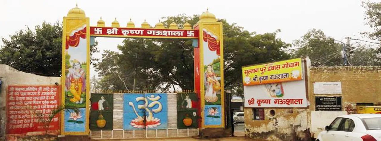 Ongo joins hands with Shri Krishna Gaushala