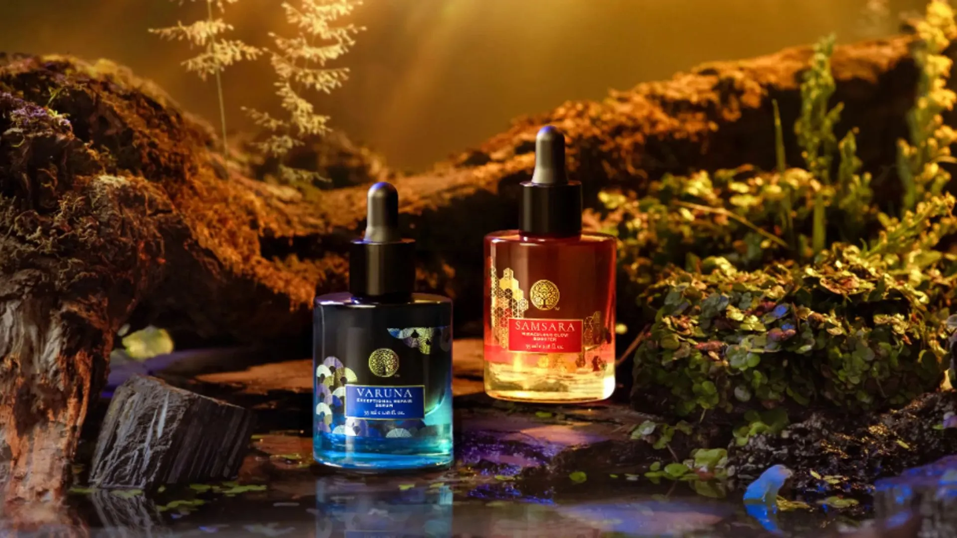 Rooted In Ritual: A Month Of Forest Essentials Serums With Team ELLE