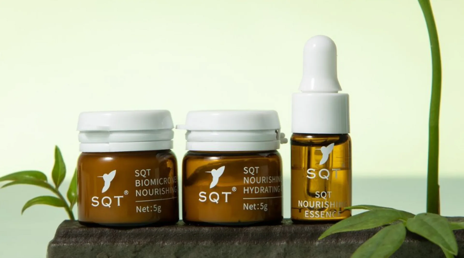 Behind The Scenes With SQT® Beauty: The Science Behind Sponge Spicule ...