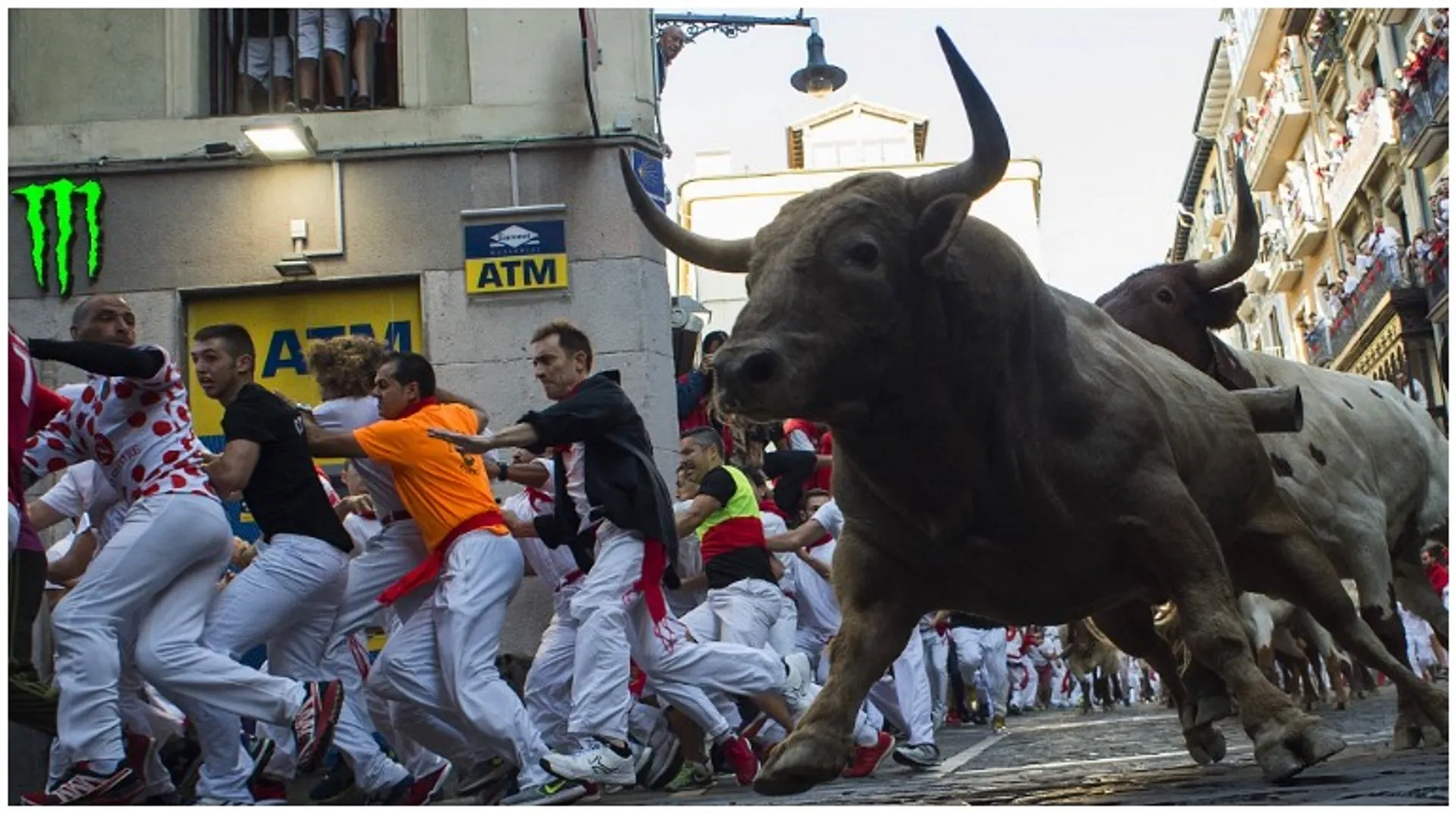Pamplona bull-run News - Latest Pamplona bull-run News, Breaking ...