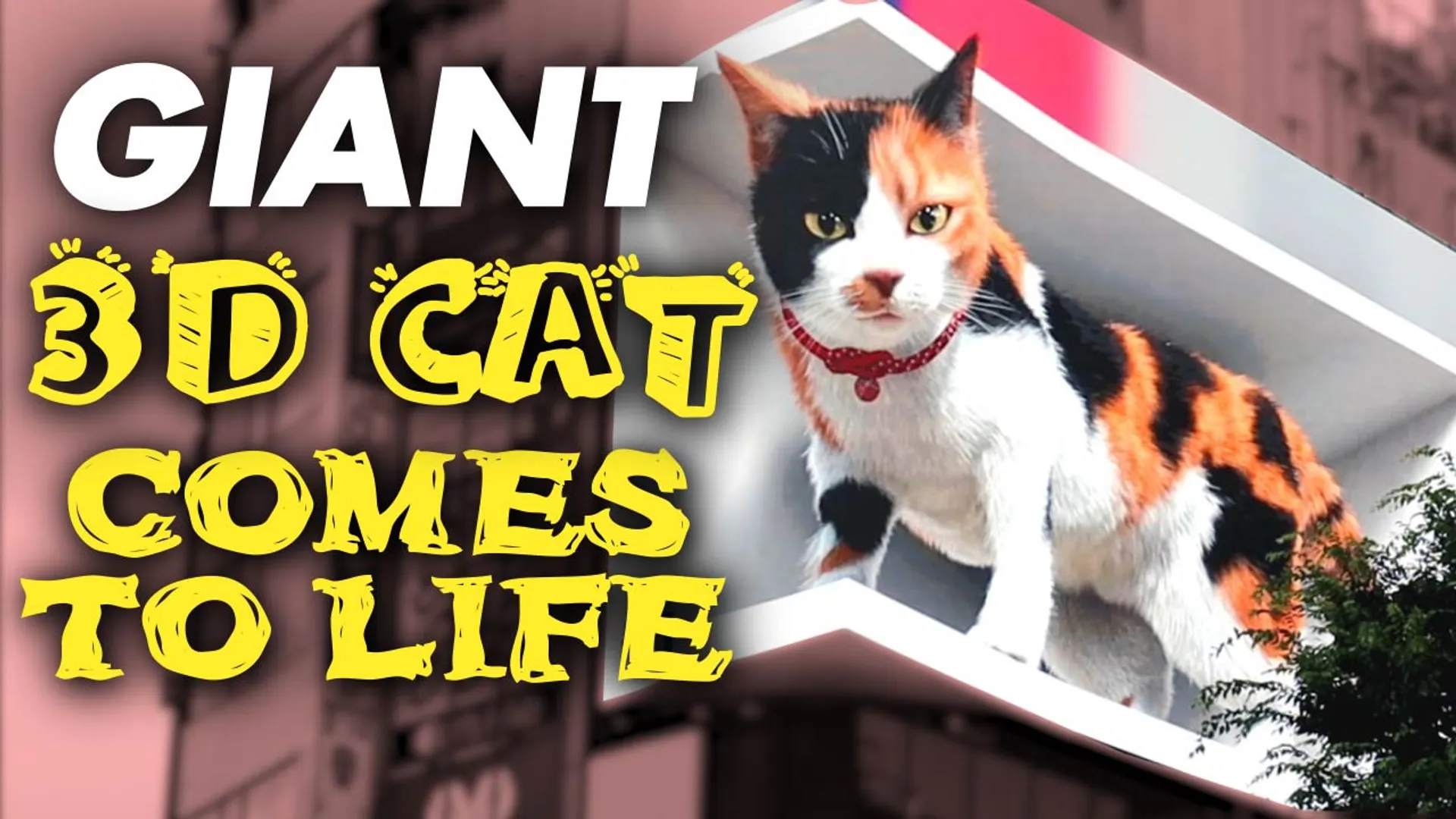 giant 3d cat News - Latest giant 3d cat News, Breaking giant 3d cat ...