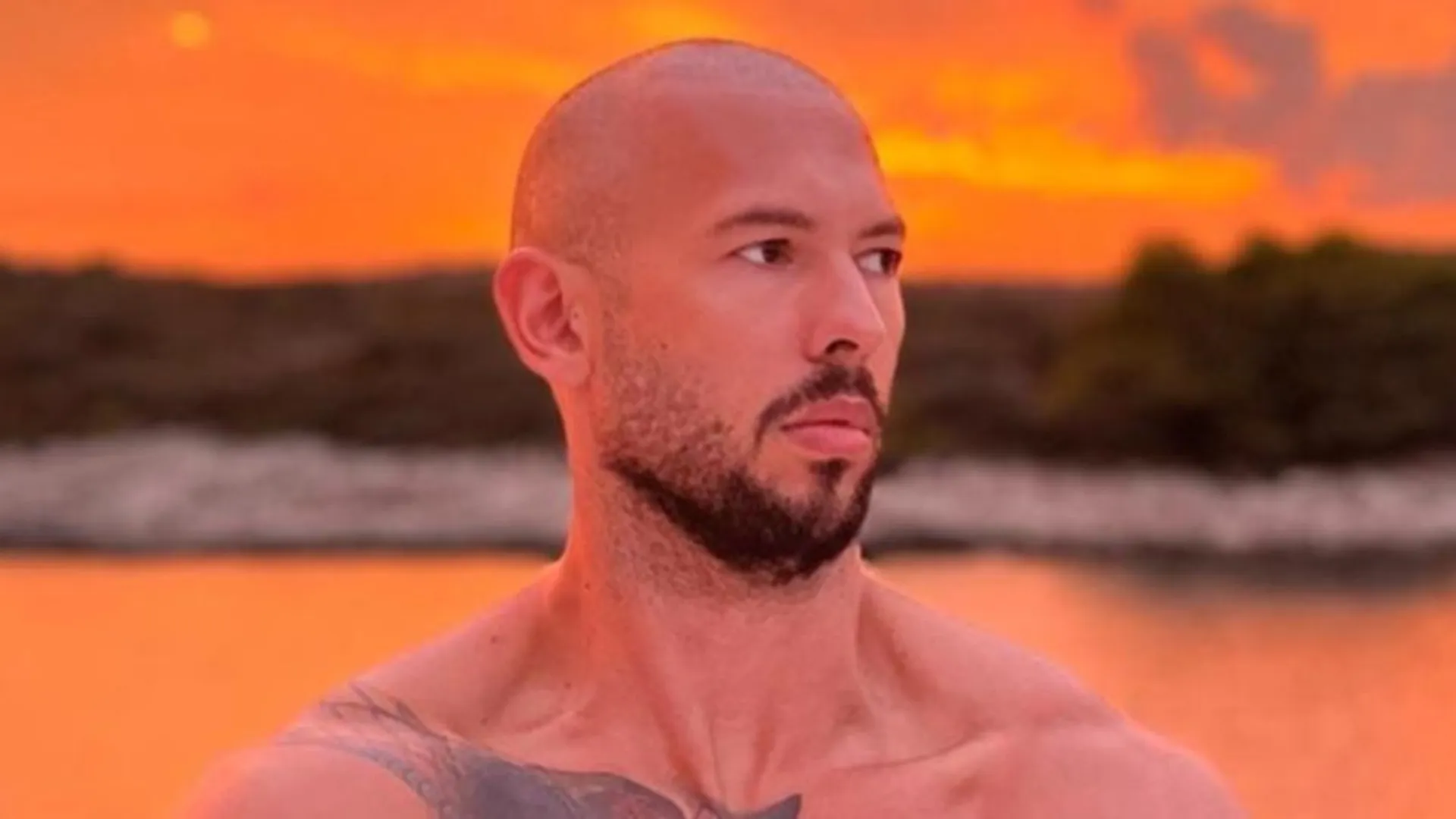 Andrew Tate twitter ban News - Latest Andrew Tate twitter ban News ...