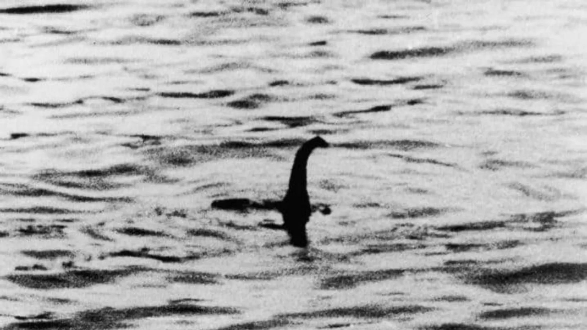 Loch Ness Monster News Latest Loch Ness Monster News Breaking Loch Ness Monster News Loch