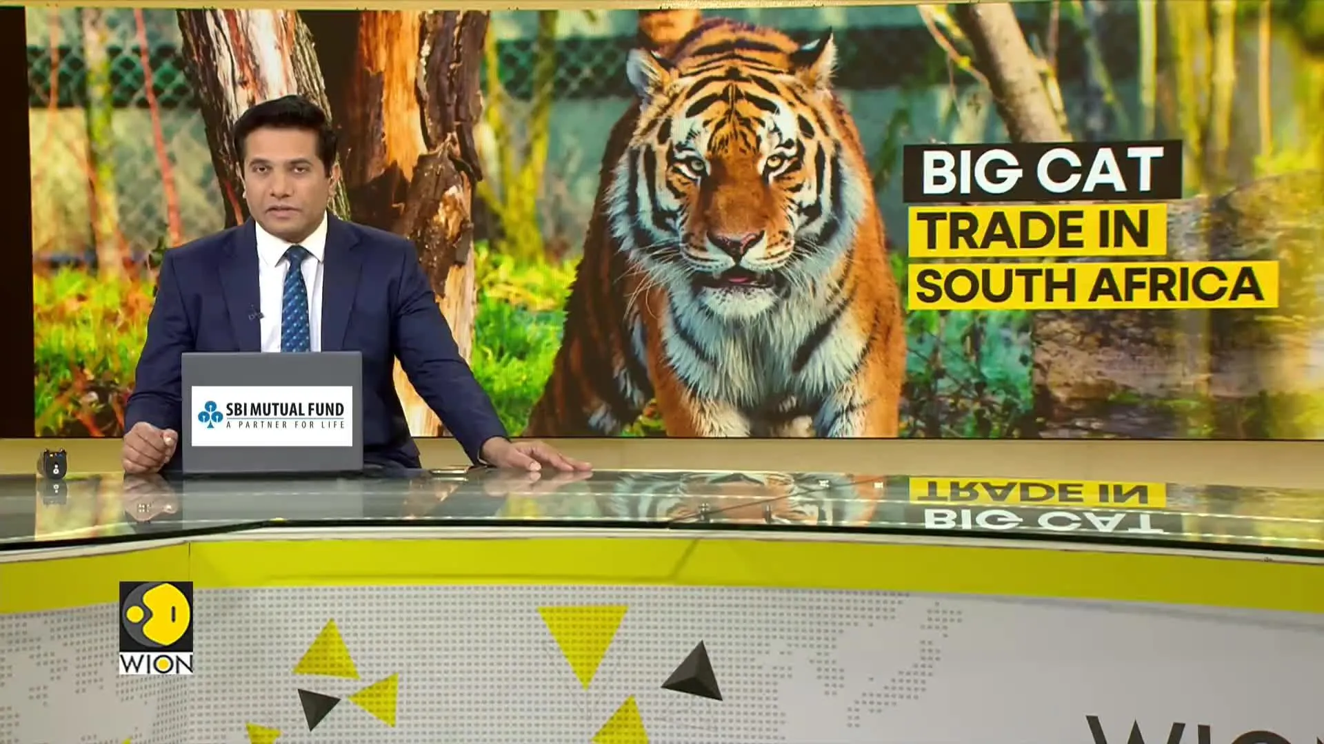 tiger News - Latest tiger News, Breaking tiger News, tiger News Headlines