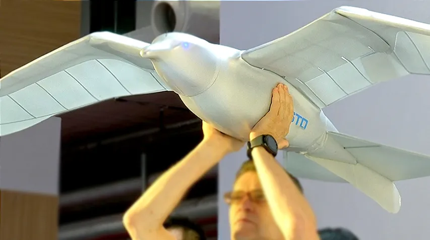 Bionic flying bird News - Latest Bionic flying bird News, Breaking ...