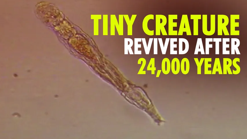 tiny creature back to life News - Latest tiny creature back to life ...