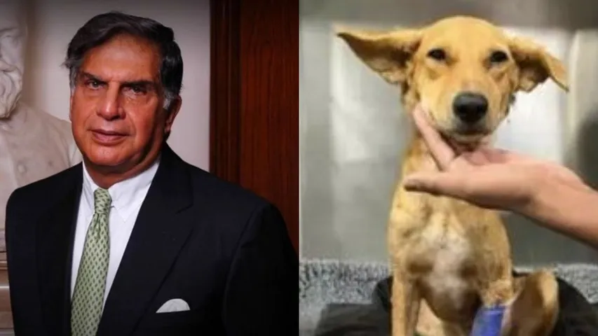 Ratan Tata dies at 86 News - Latest Ratan Tata dies at 86 News ...