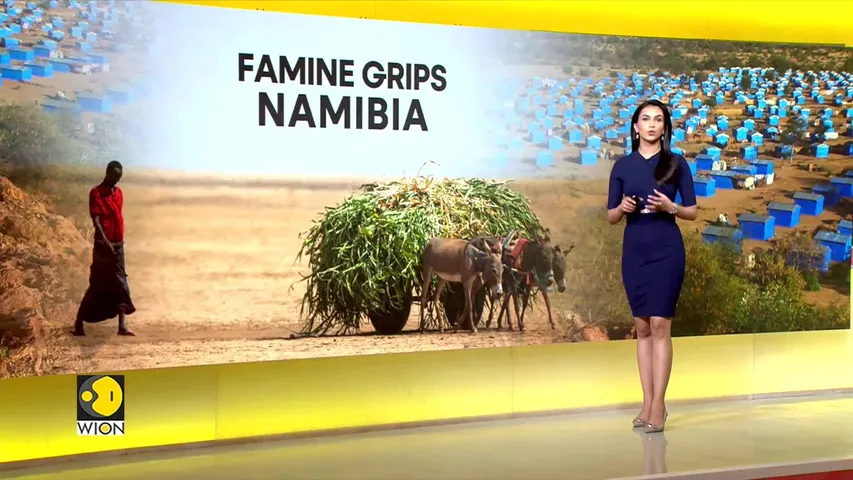 Namibia News - Latest Namibia News, Breaking Namibia News, Namibia News ...